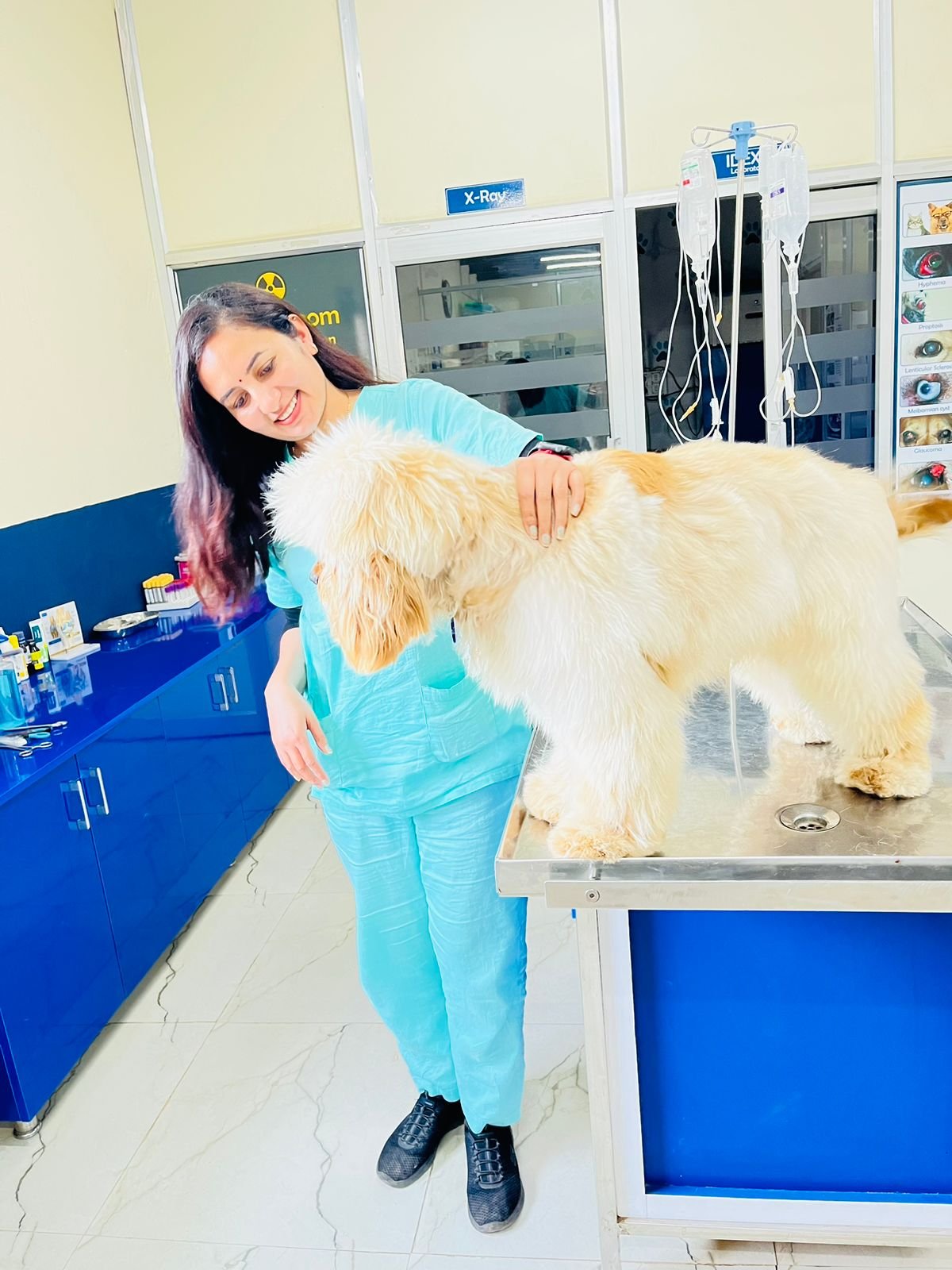 Preventative Care Highlights - AVC Multispeciality Pet Care Hospital
